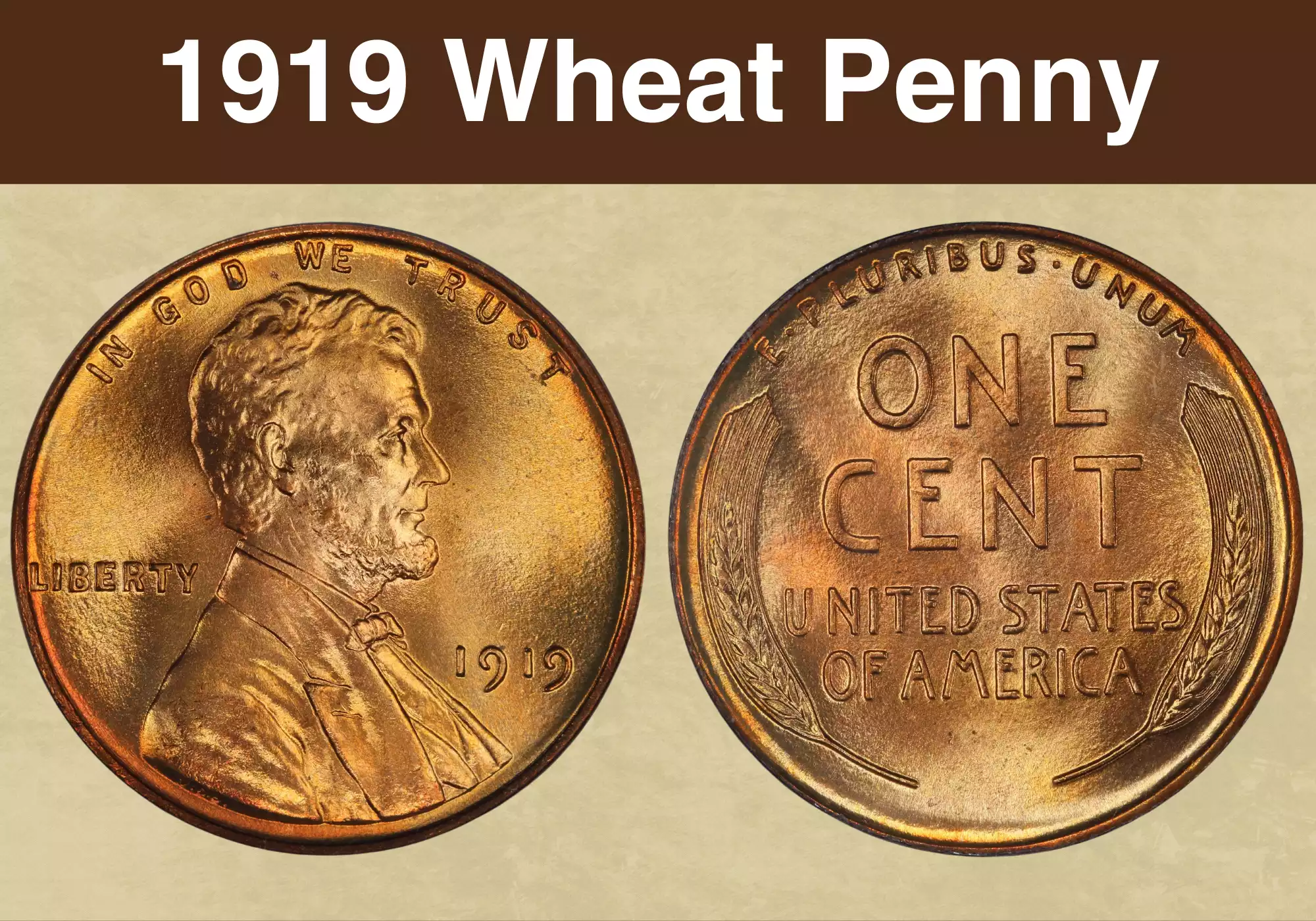 1919 Wheat Penny Coin Value Guide: D, S, No Mint Mark Worth Plus Errors List
