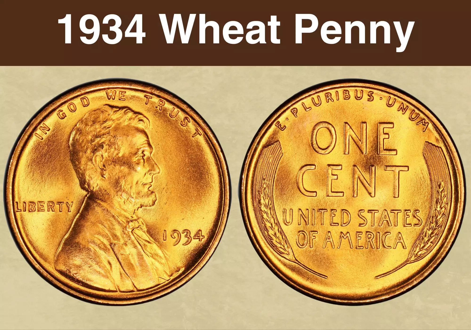 1934 Wheat Penny Coin Value Guide: Complete Errors List and What Your D Mint Mark Is Actually Worth