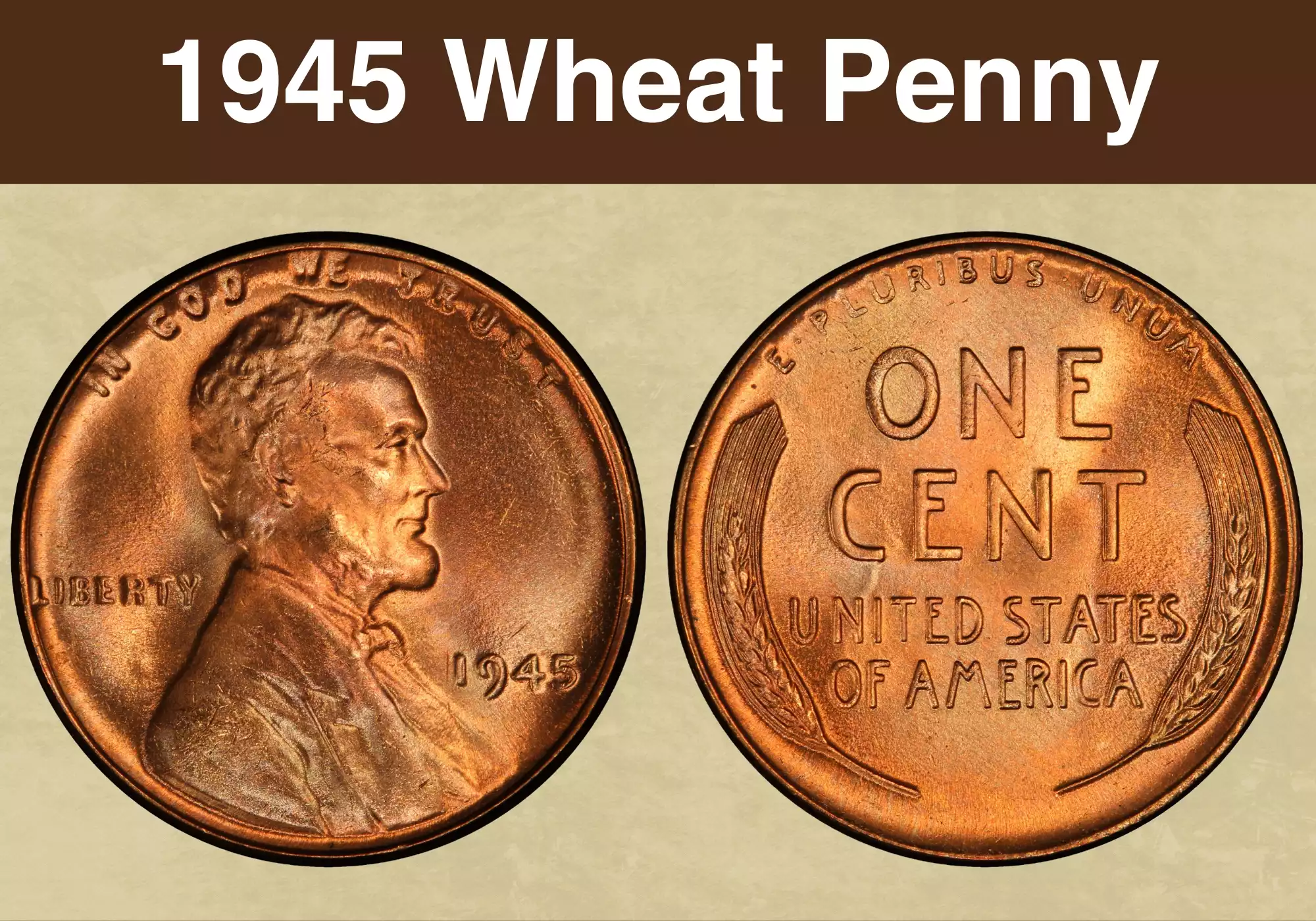 1945 Wheat Penny Coin Value Guide: D, S, No Mint Mark Worth and Valuable Error List